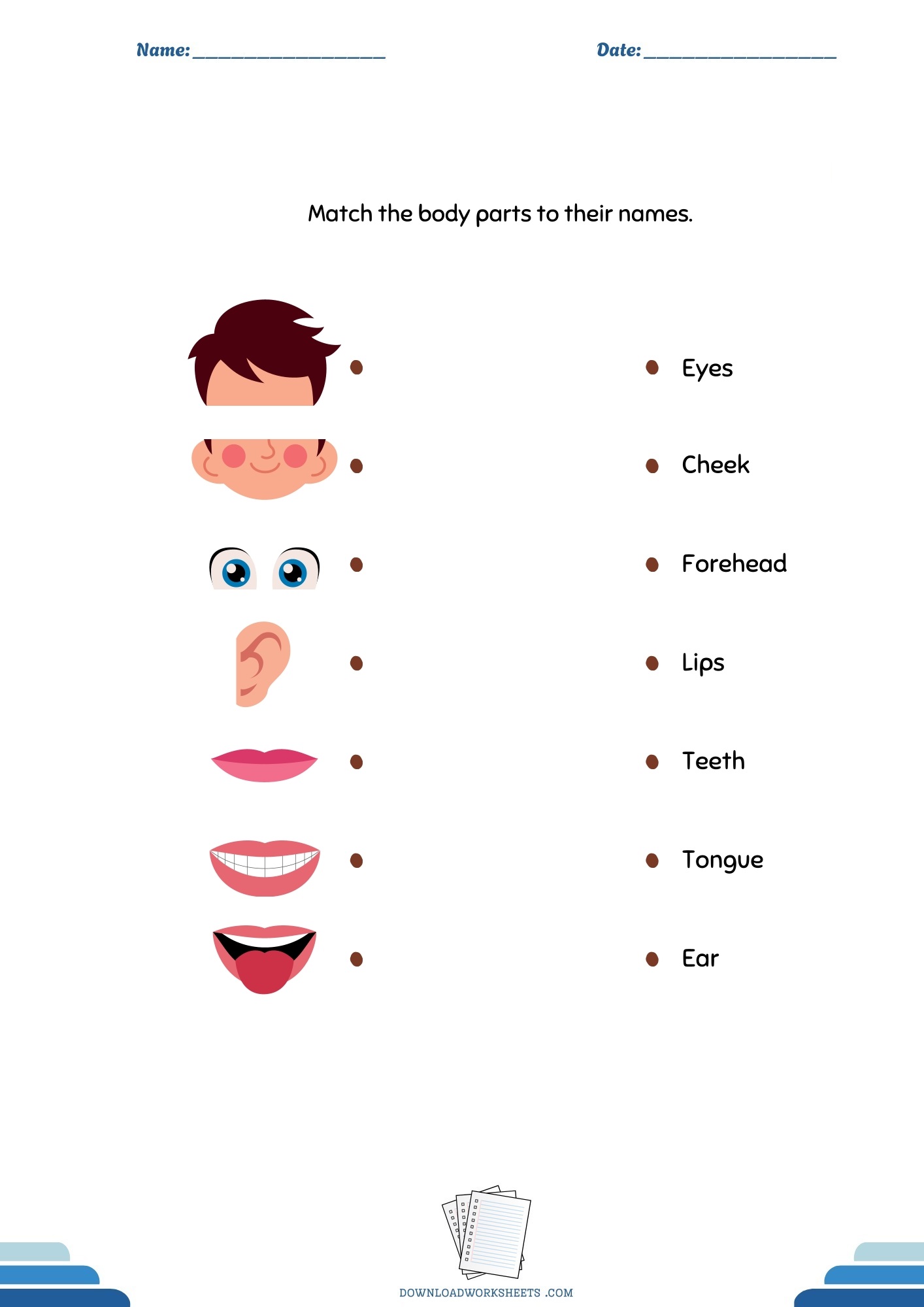 Body Part Names – Download Worksheets